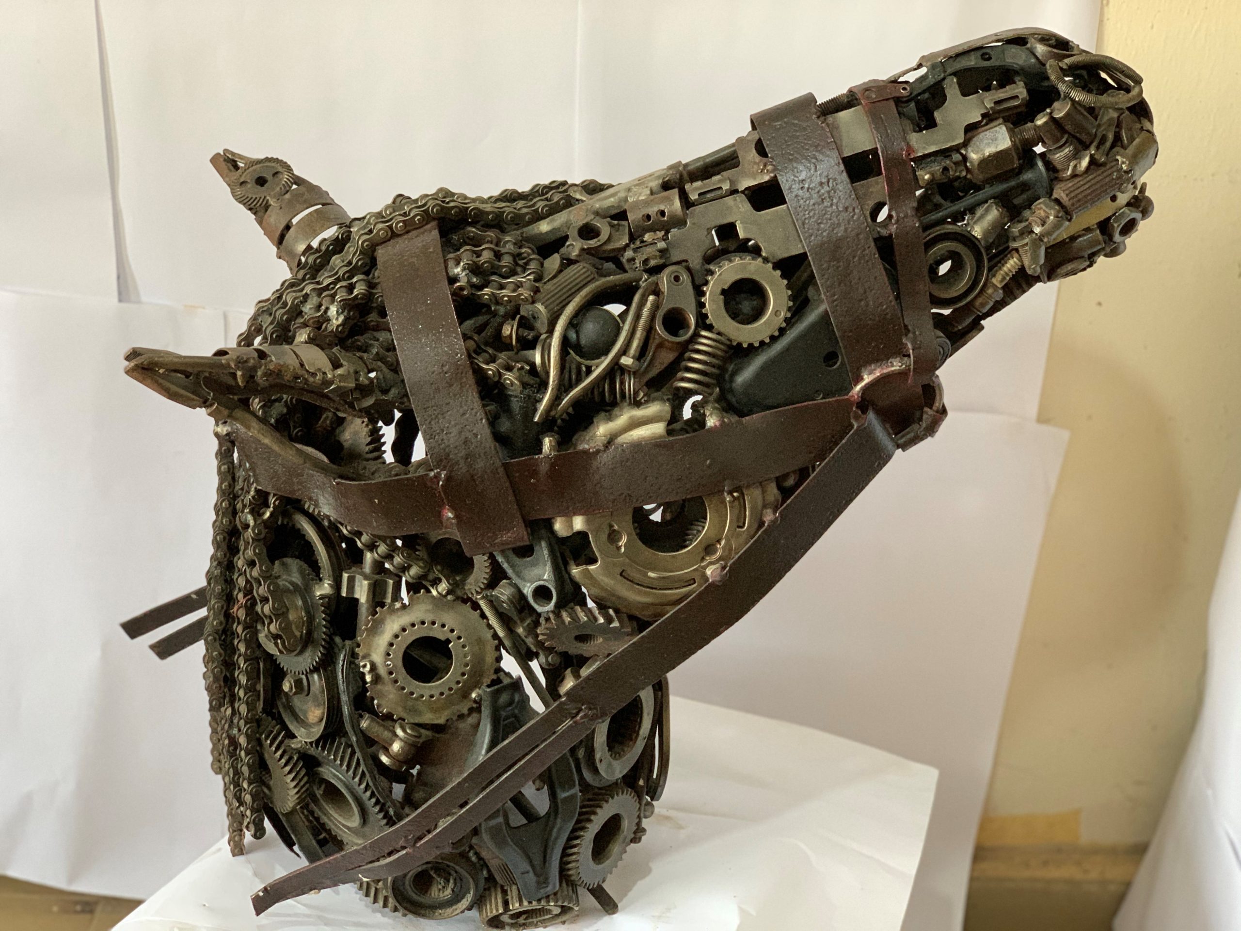 Onyeka Iloanya - Agama Art Publishing & Agency